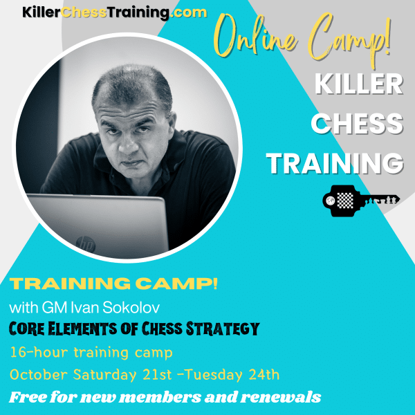 Core Elements of Chess Strategy with GM IVan Sokolov - Killer Chess ...
